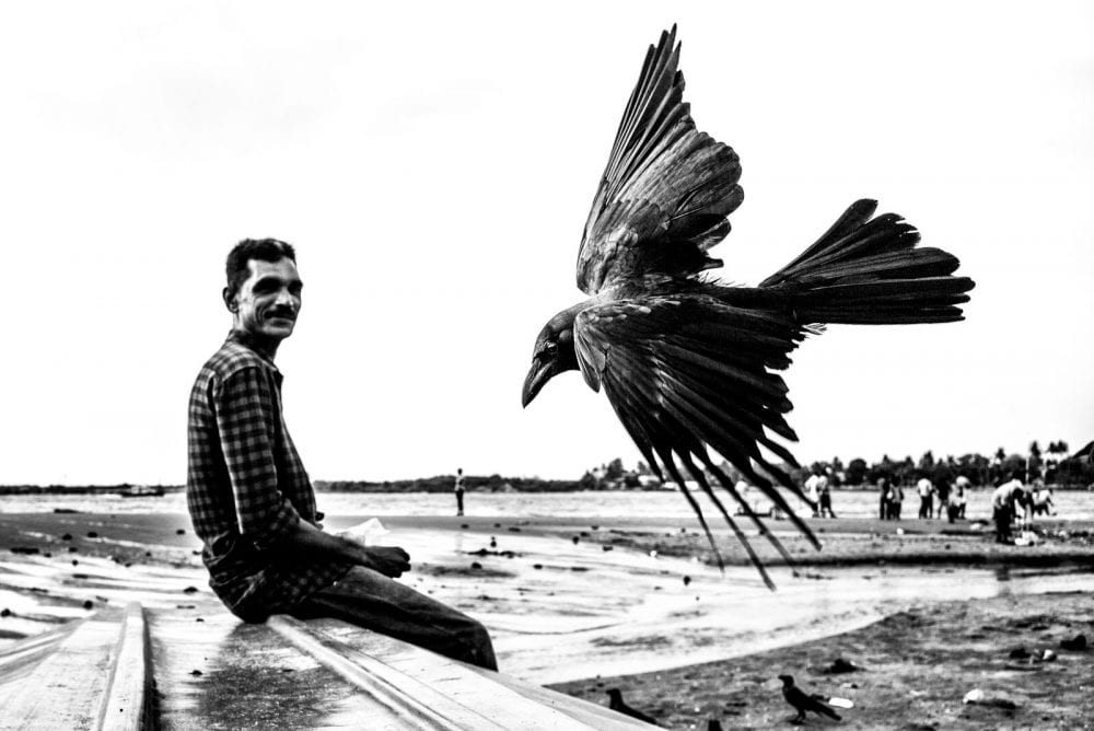 Selected Works | The Independent Photographer