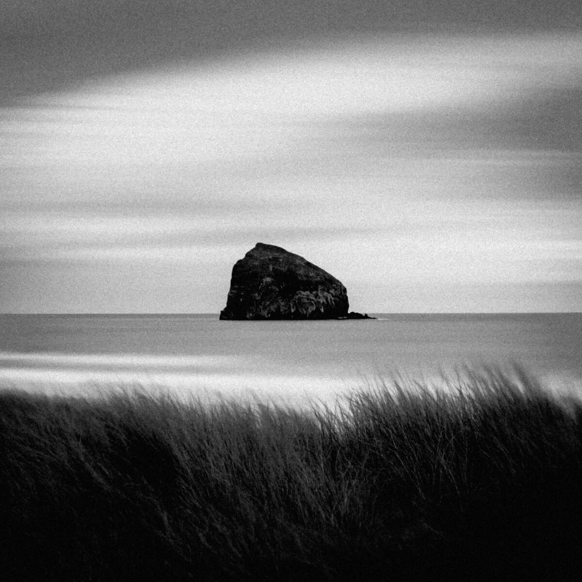 Adrian Vila's Enchanting Black and White World | The Independent ...