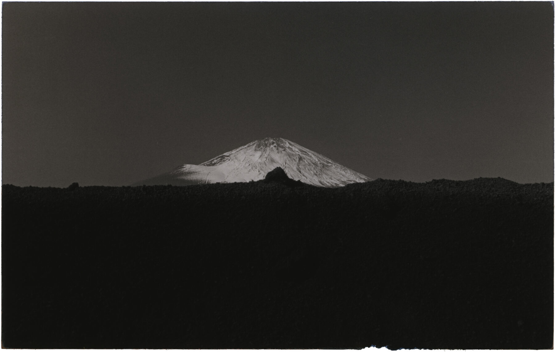 Yamamoto Masao - Small Things in Silence | The Independent Photographer