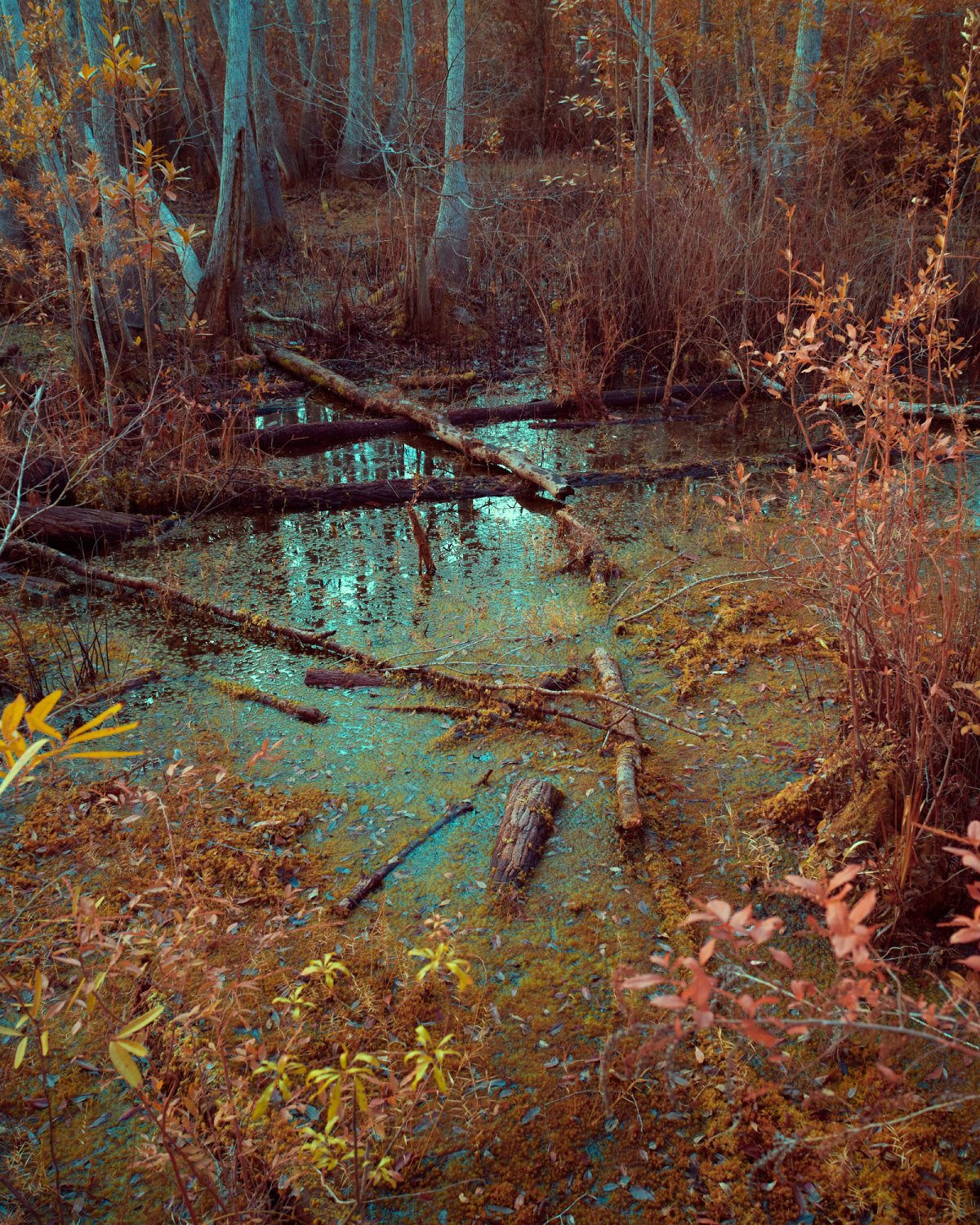 Zac Henderson | The Independent Photographer