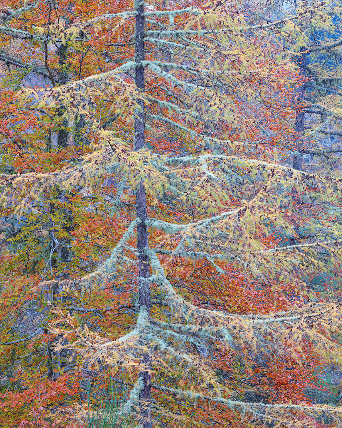 Stephen King | The Independent Photographer