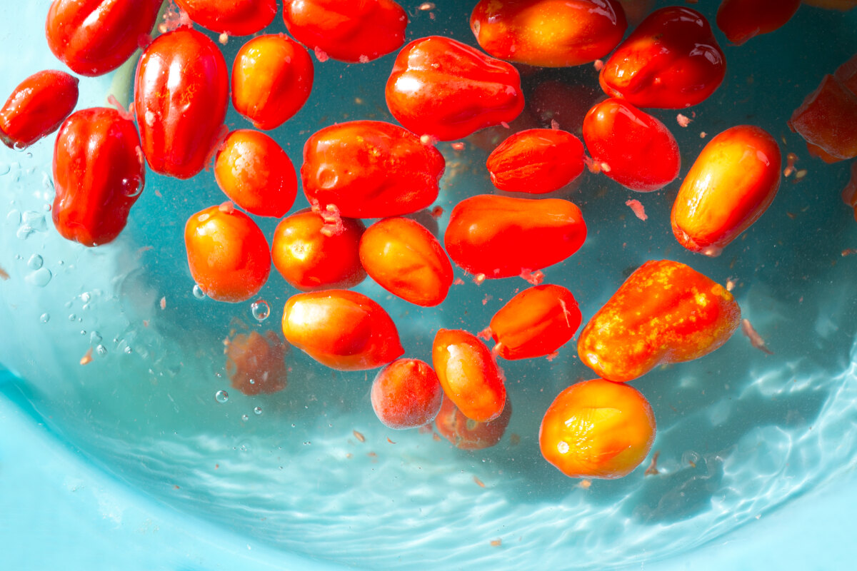 Francesca procopio | The Independent Photographer