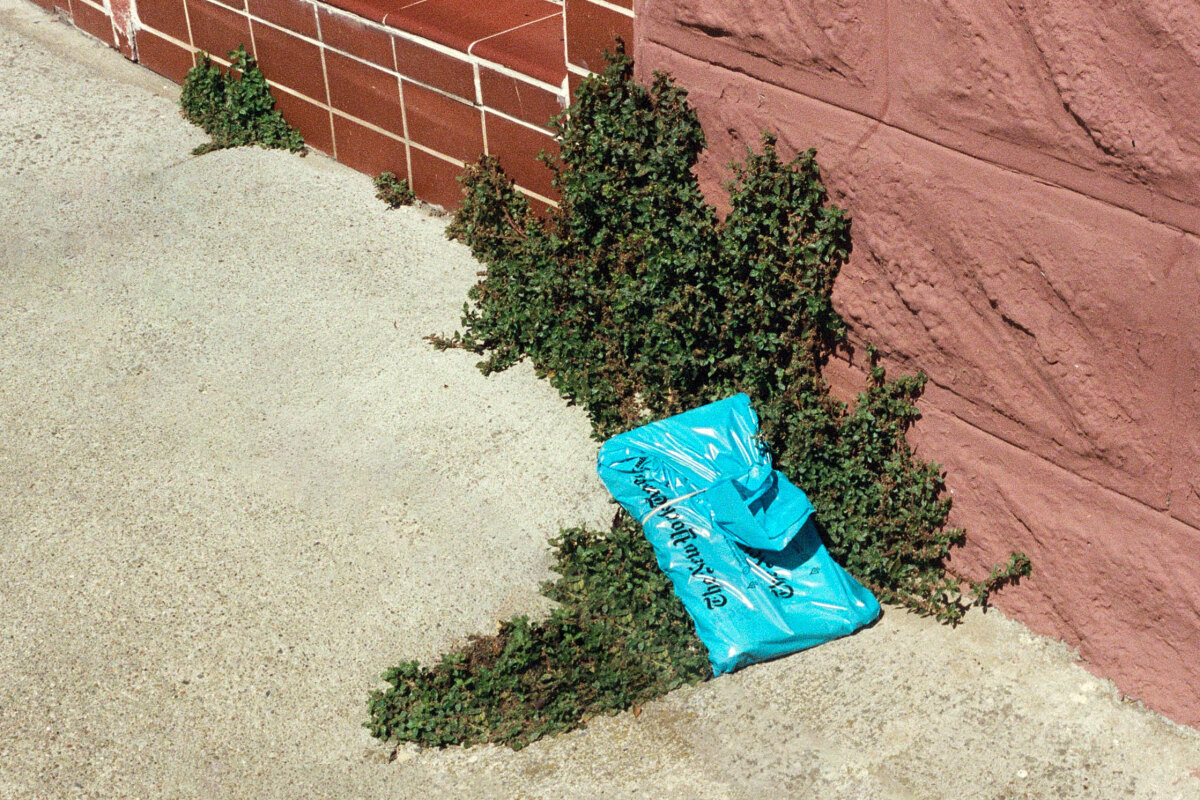 katie Donaldson | The Independent Photographer