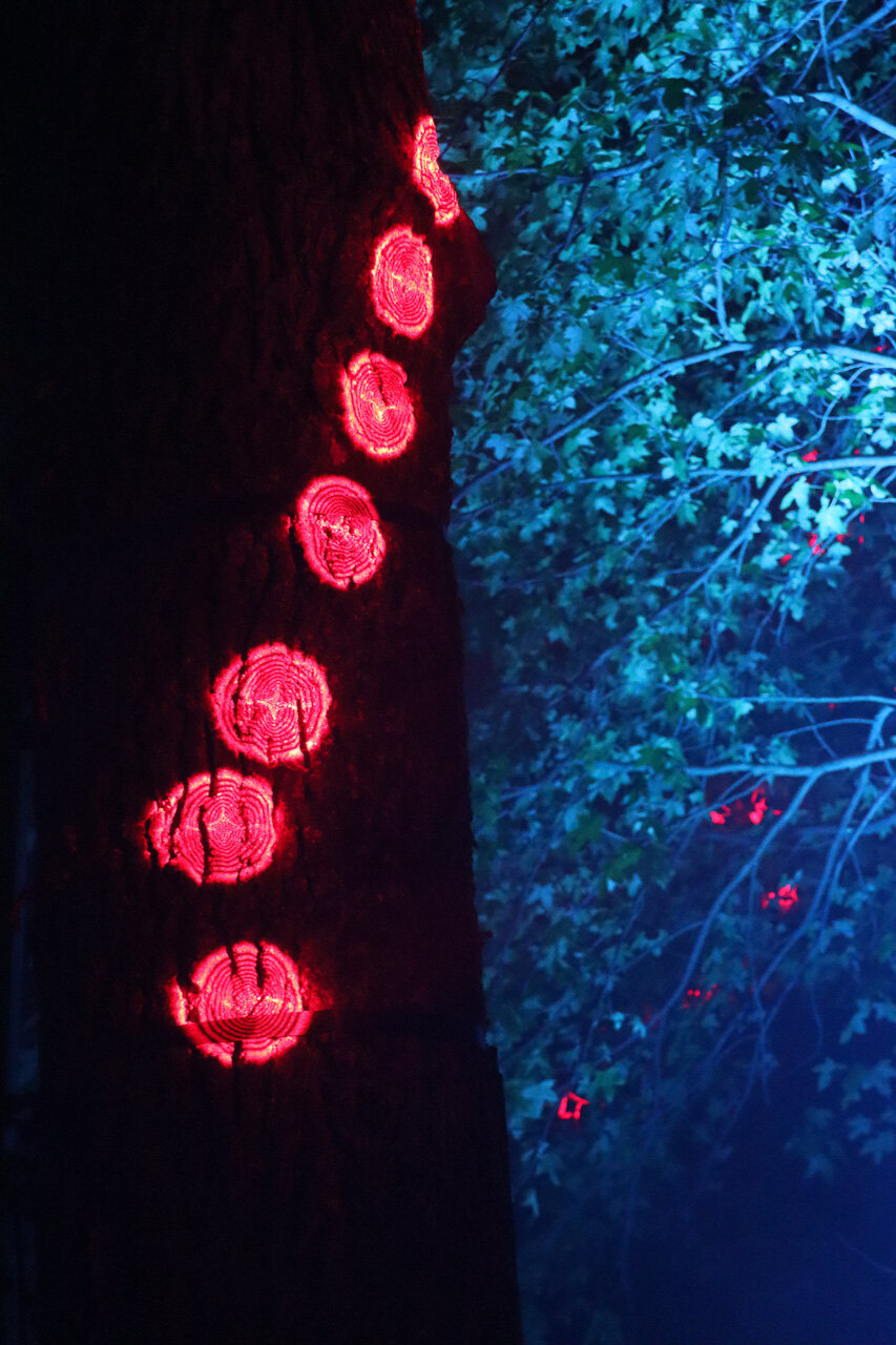 Isabel Morais | The Independent Photographer