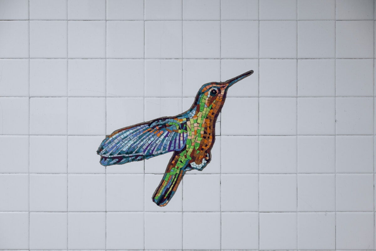 Adrian Alexander | The Independent Photographer