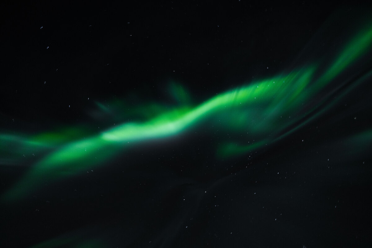 Adrian Alexander | The Independent Photographer