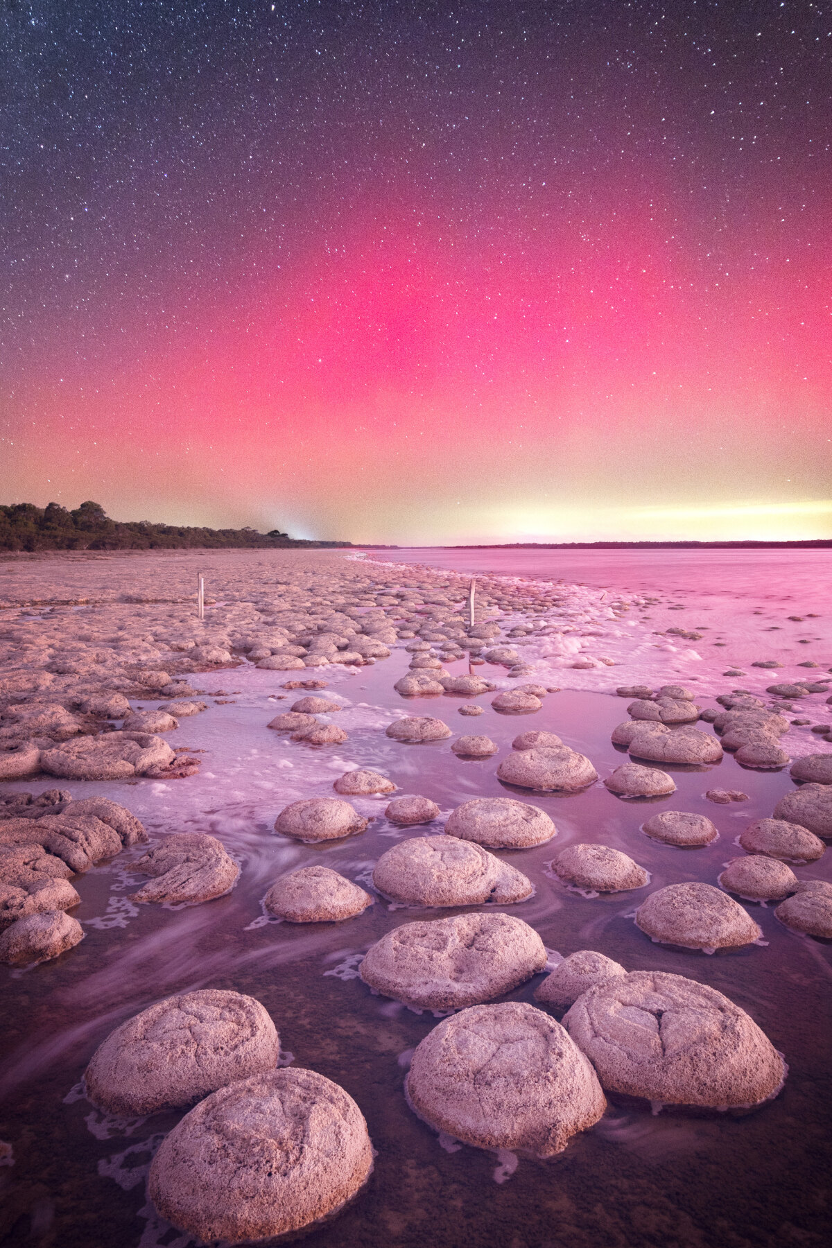 Suzanne Jones | The Independent Photographer