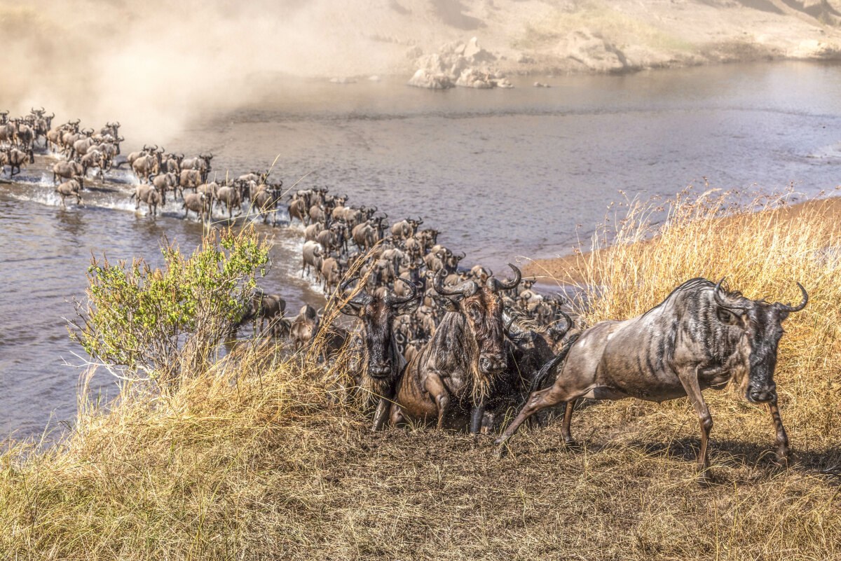 Wayne Simpson | The Independent Photographer