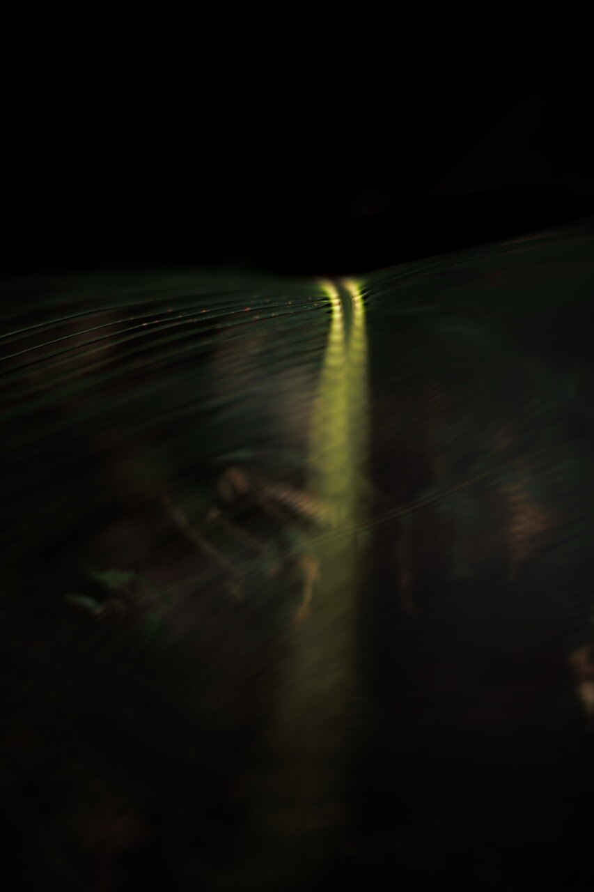 Scott Perkins | The Independent Photographer