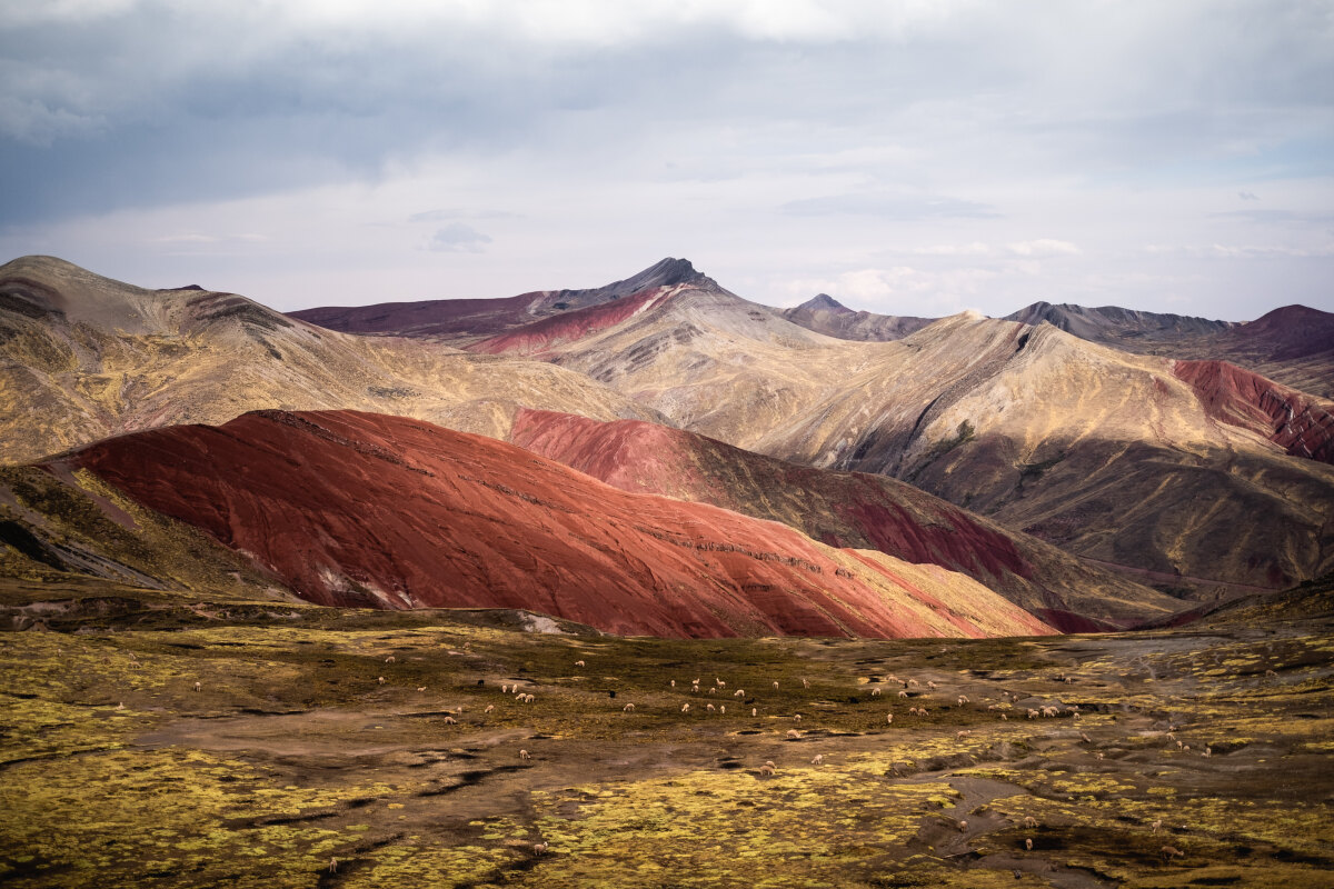 Nicolas Castermans | The Independent Photographer