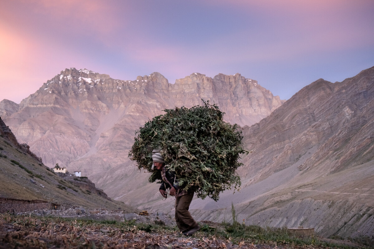 Nicolas Castermans | The Independent Photographer