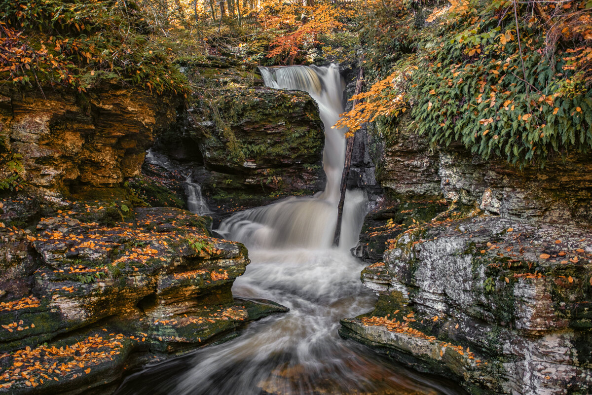 Kamala Raghavan | The Independent Photographer