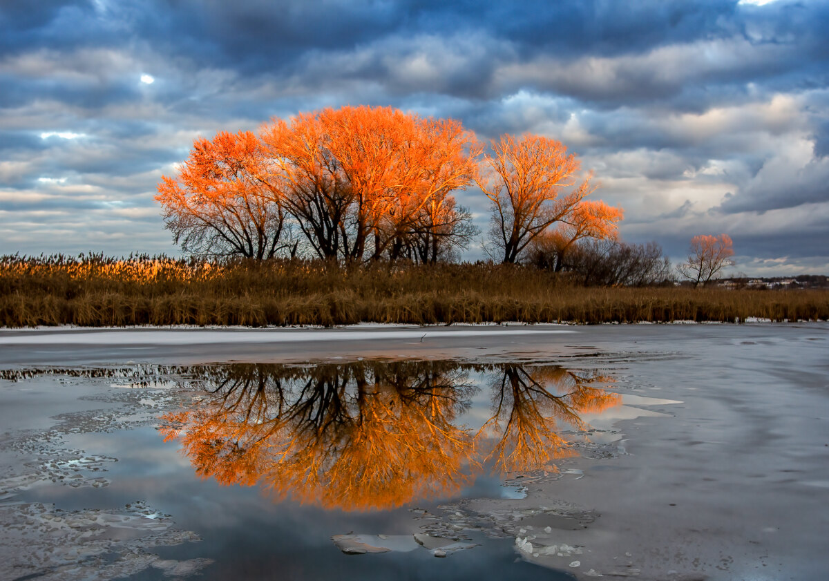 Kamala Raghavan | The Independent Photographer