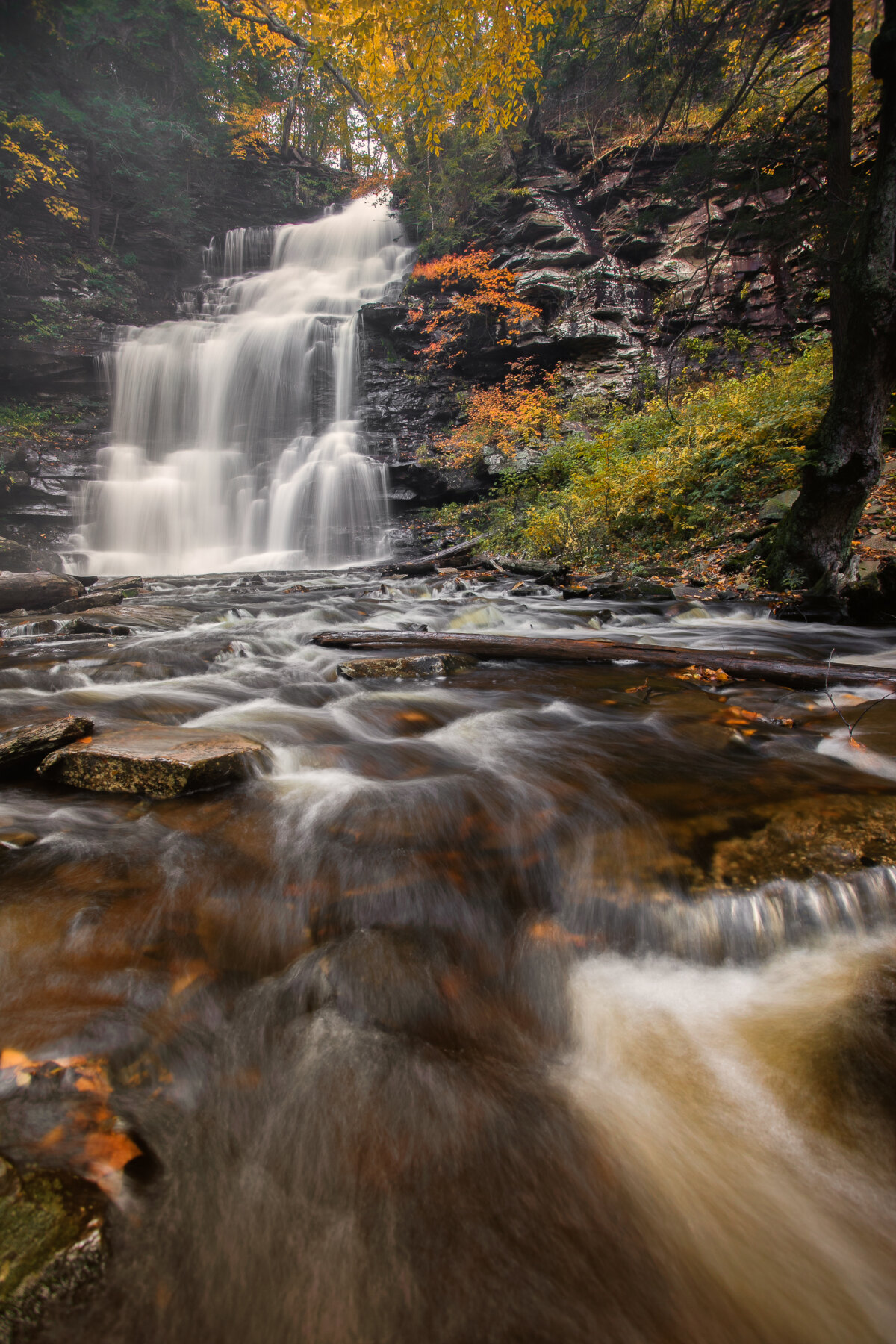 Kamala Raghavan | The Independent Photographer