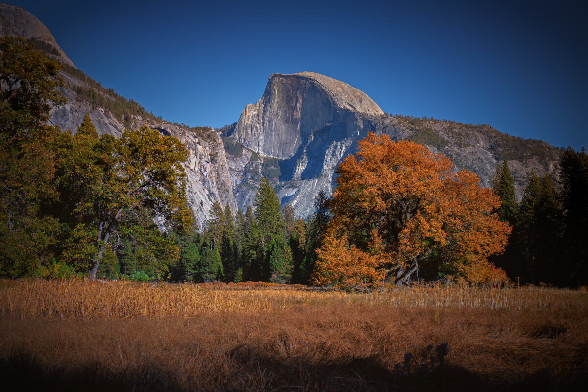 Kamala Raghavan | The Independent Photographer