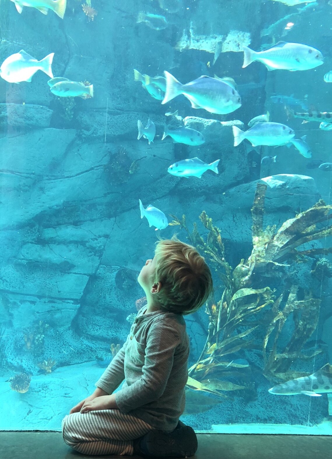 Angela Palmieri | The Independent Photographer