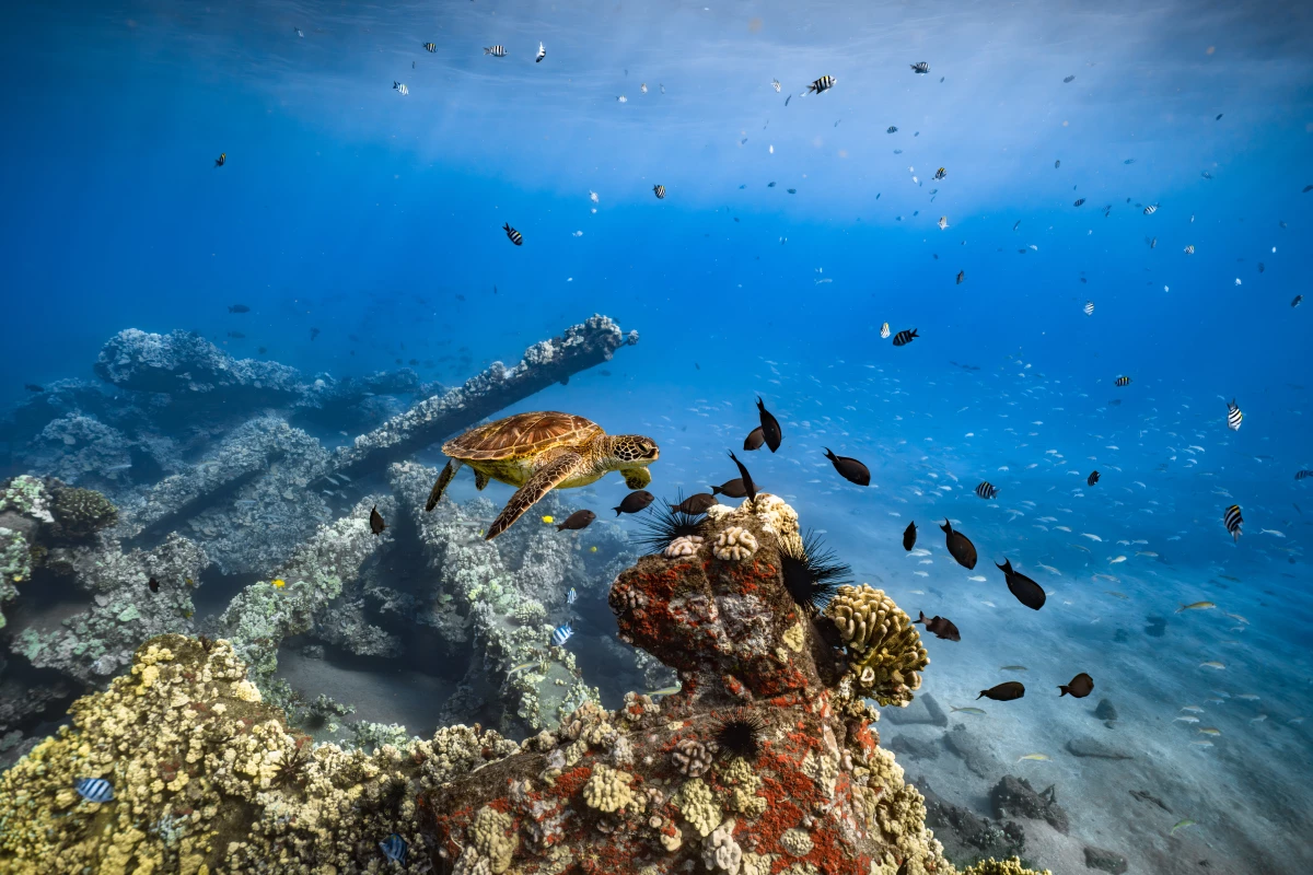 Christian Crook | The Independent Photographer