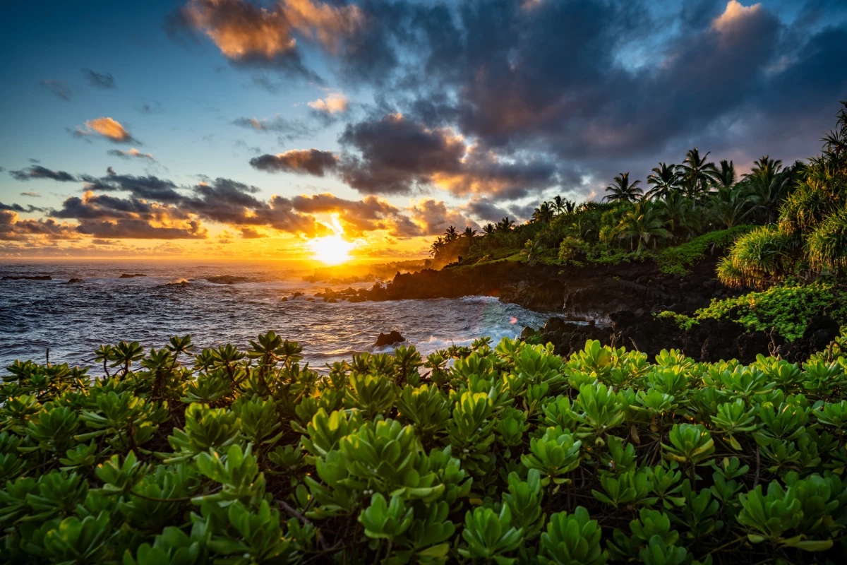 Christian Crook | The Independent Photographer