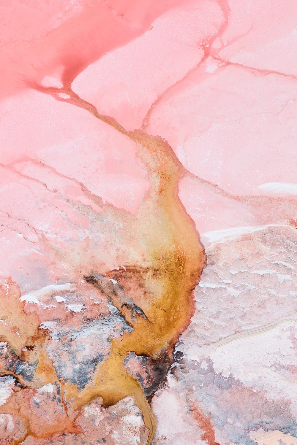 Steven Manolakis | The Independent Photographer