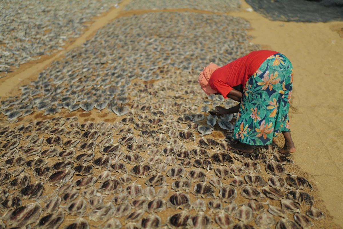 Satya Rodrigo | The Independent Photographer