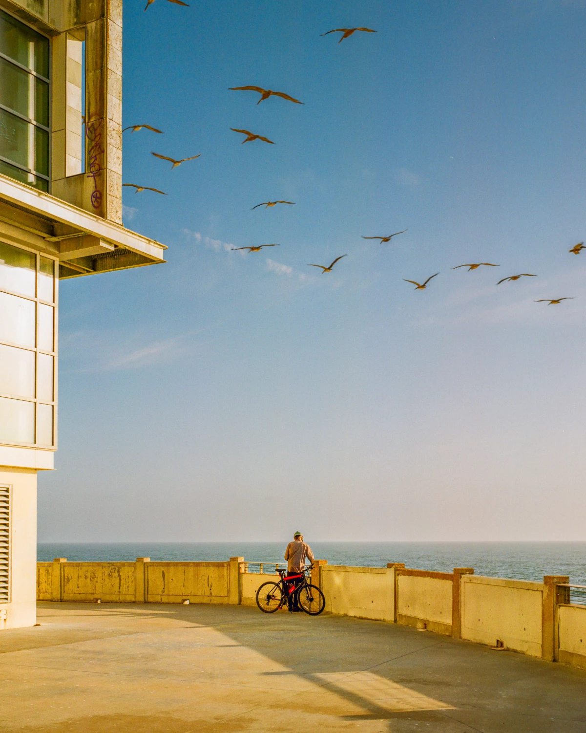 Joshua Singh | The Independent Photographer