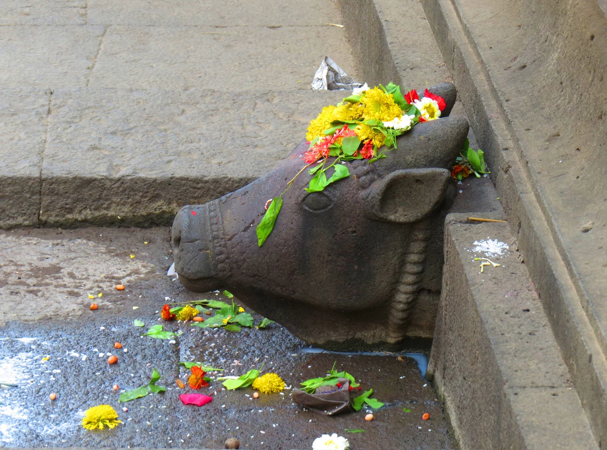 Arun Thakur | The Independent Photographer