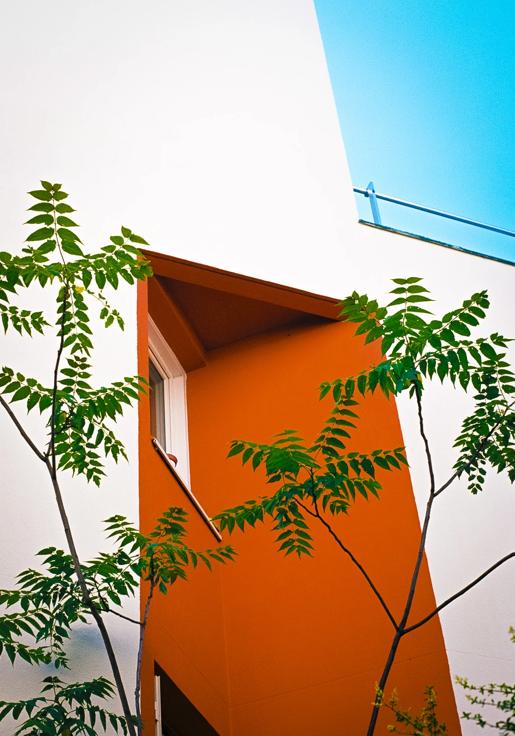 Martin Hauser | The Independent Photographer