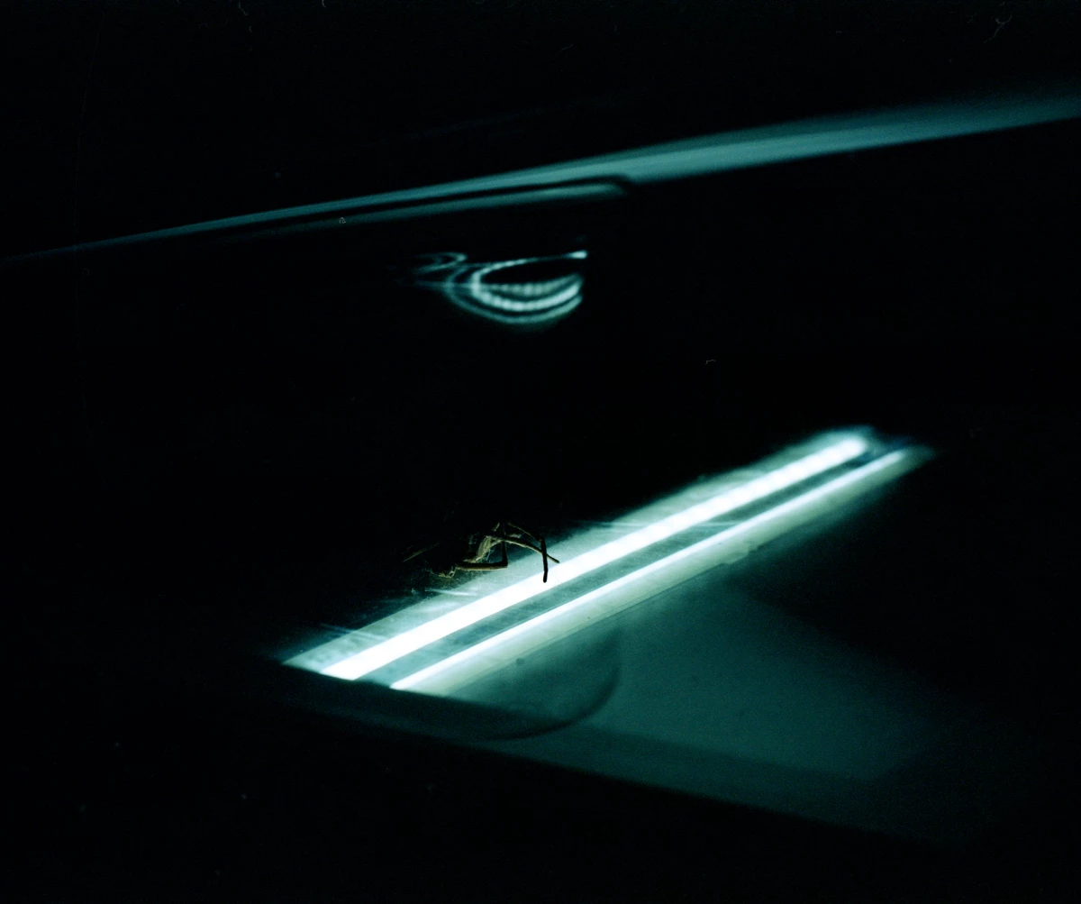 Megan Reilly | The Independent Photographer