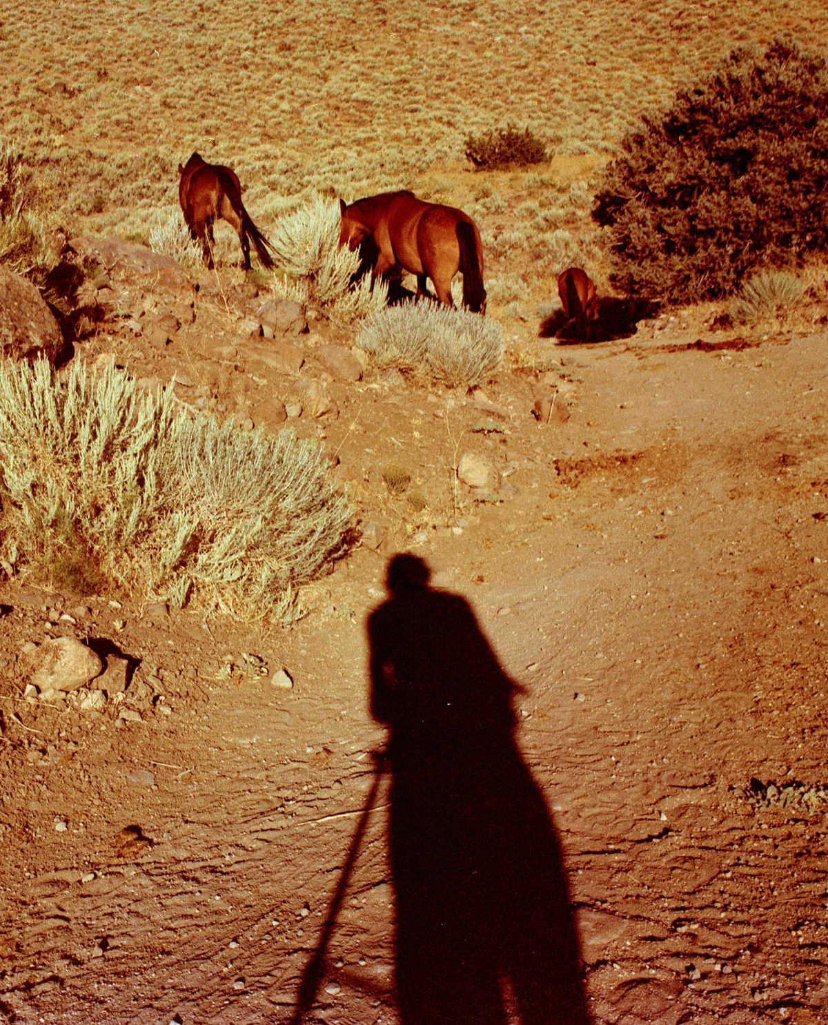 Megan Reilly | The Independent Photographer