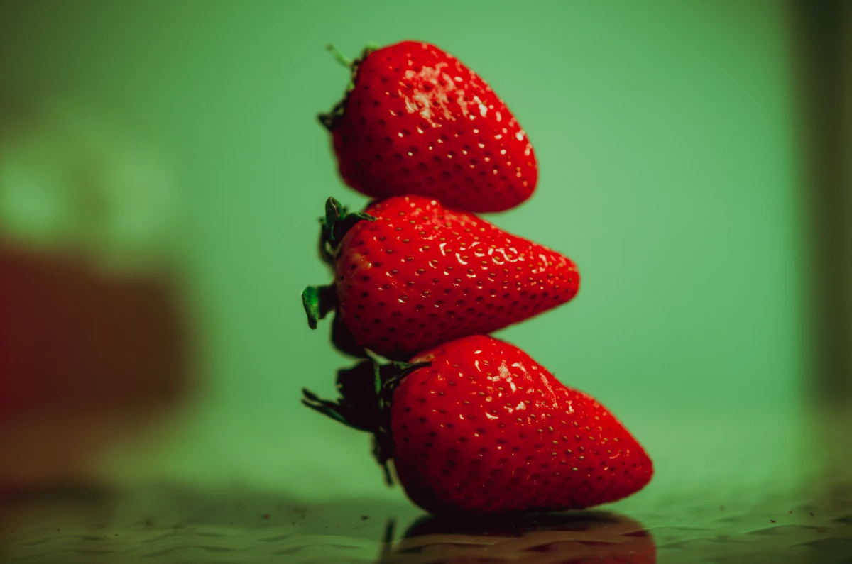 Matthew Leib | The Independent Photographer