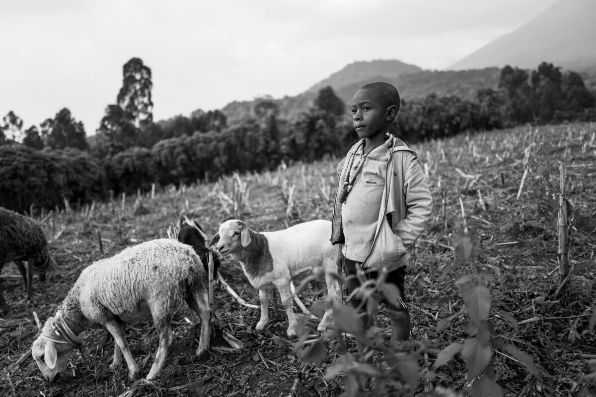 James McShane | The Independent Photographer