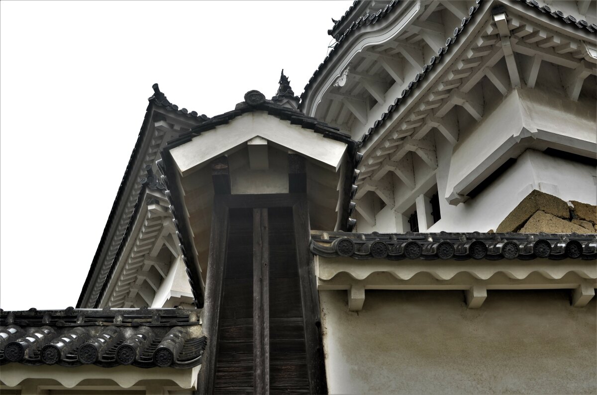 Lisa Joseph | The Independent Photographer