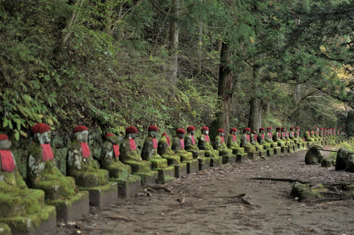 Lisa Joseph | The Independent Photographer