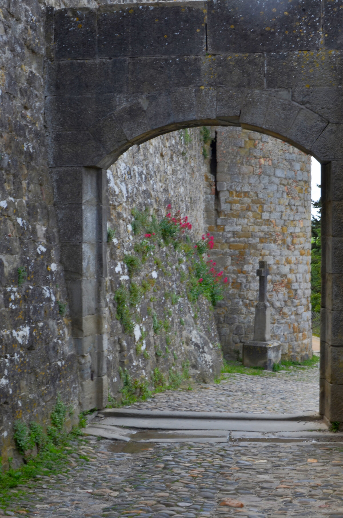 Lisa Joseph | The Independent Photographer