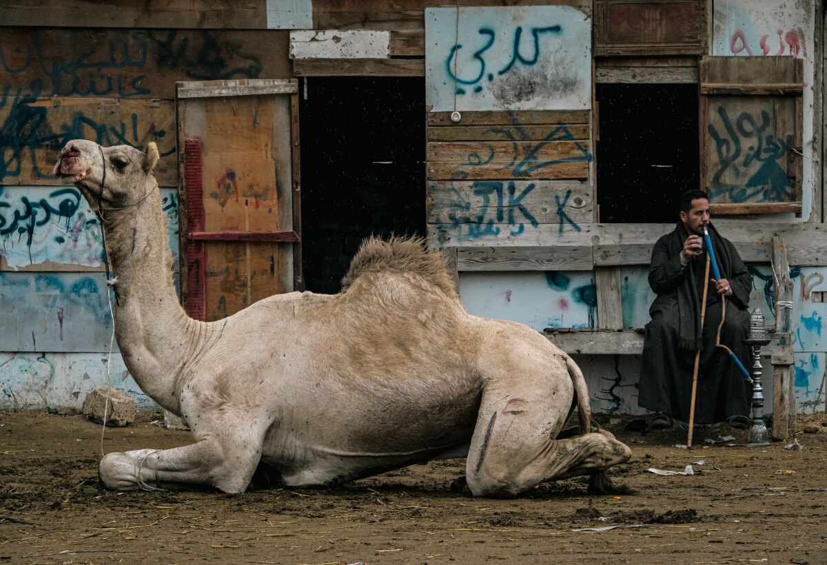 Arpit Mehrotra | The Independent Photographer