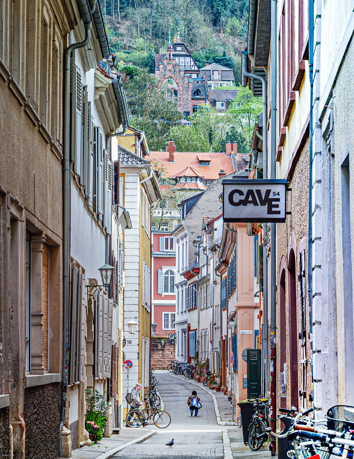 Audrey Rice | The Independent Photographer