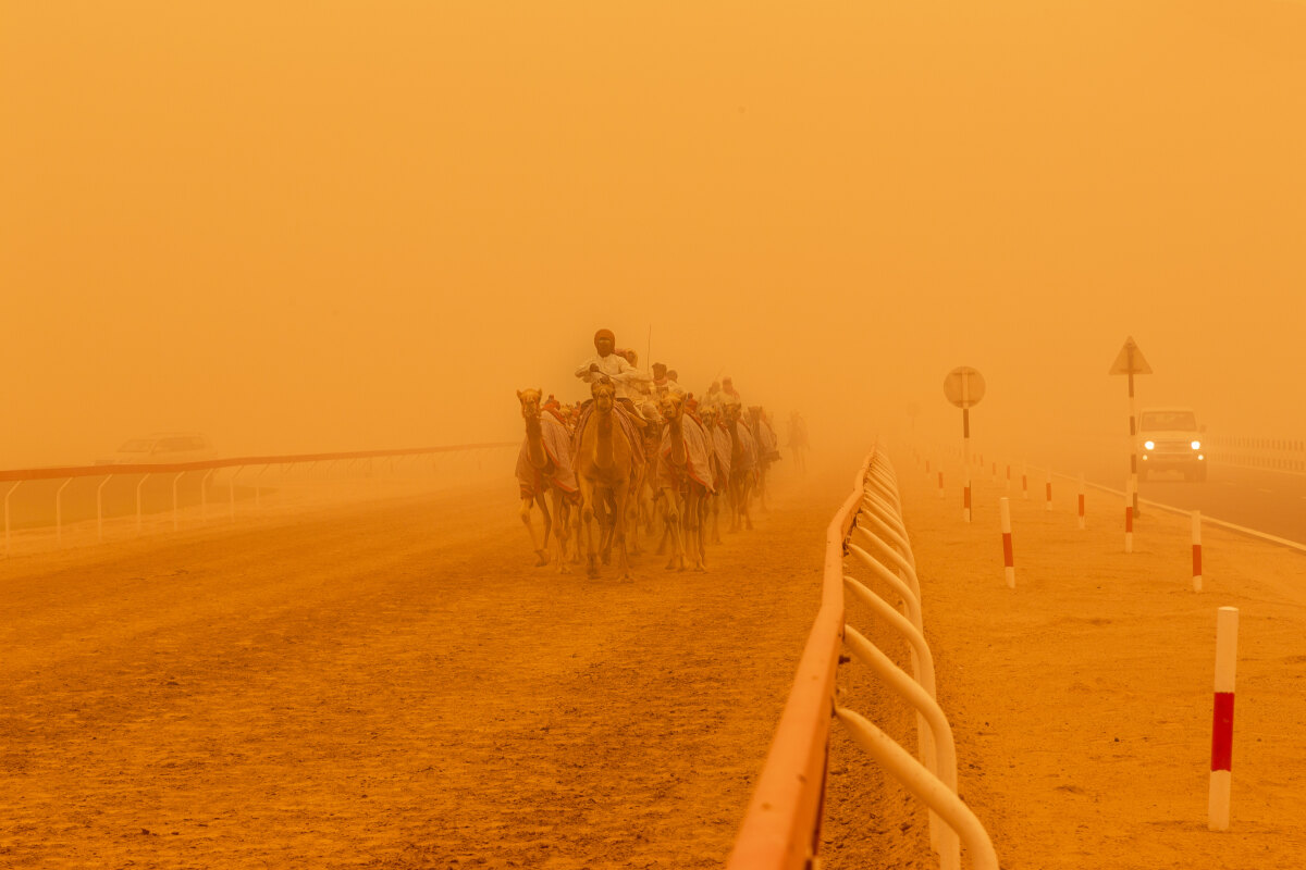 Damien Jackson | The Independent Photographer