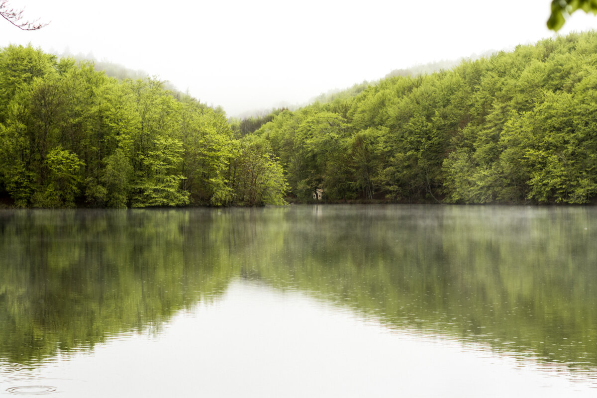 Juan Manuel Hincapié | The Independent Photographer