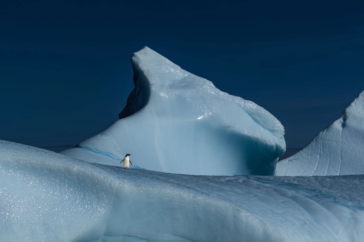 Benjamin Li | The Independent Photographer