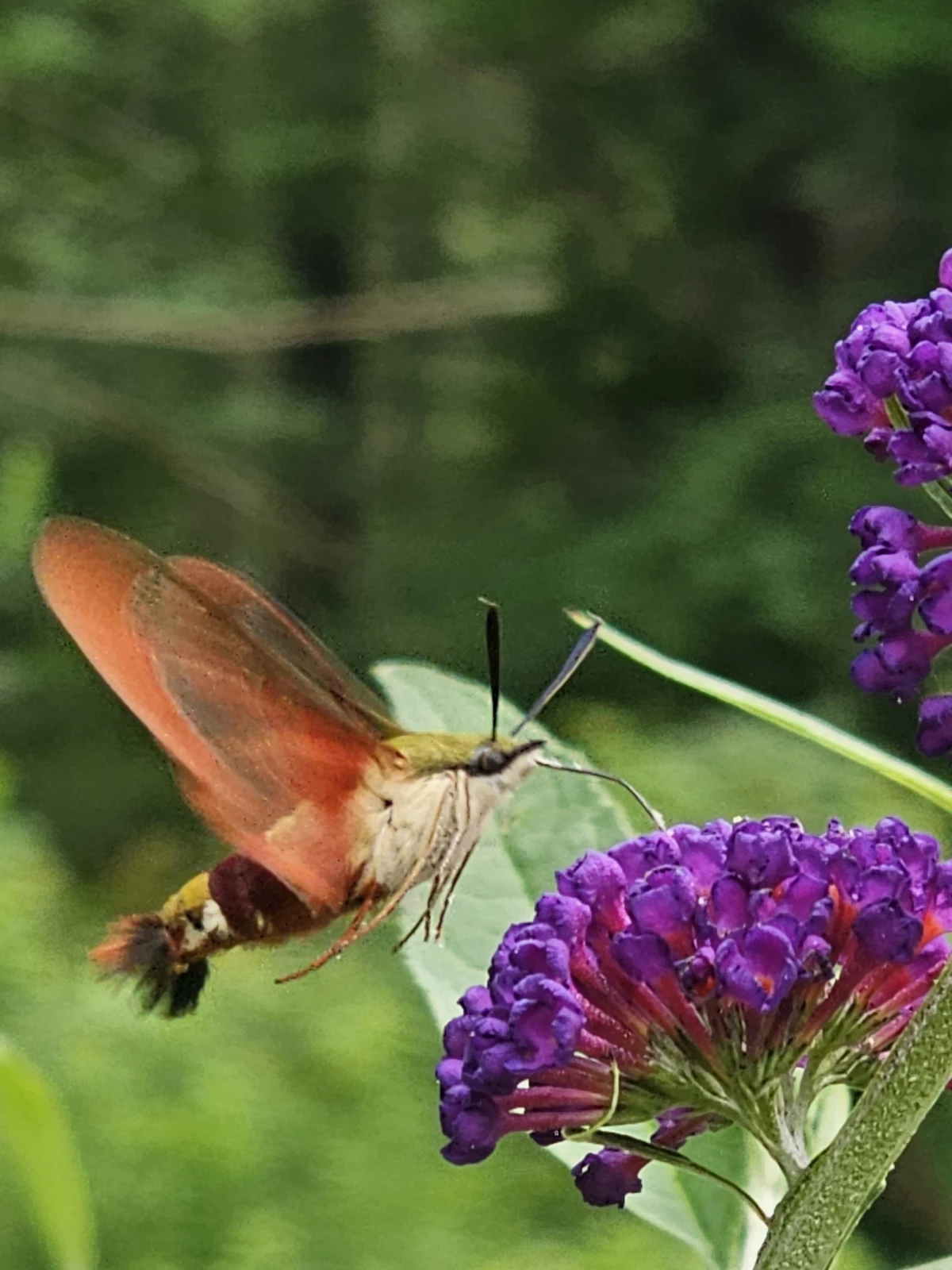 john croce | The Independent Photographer