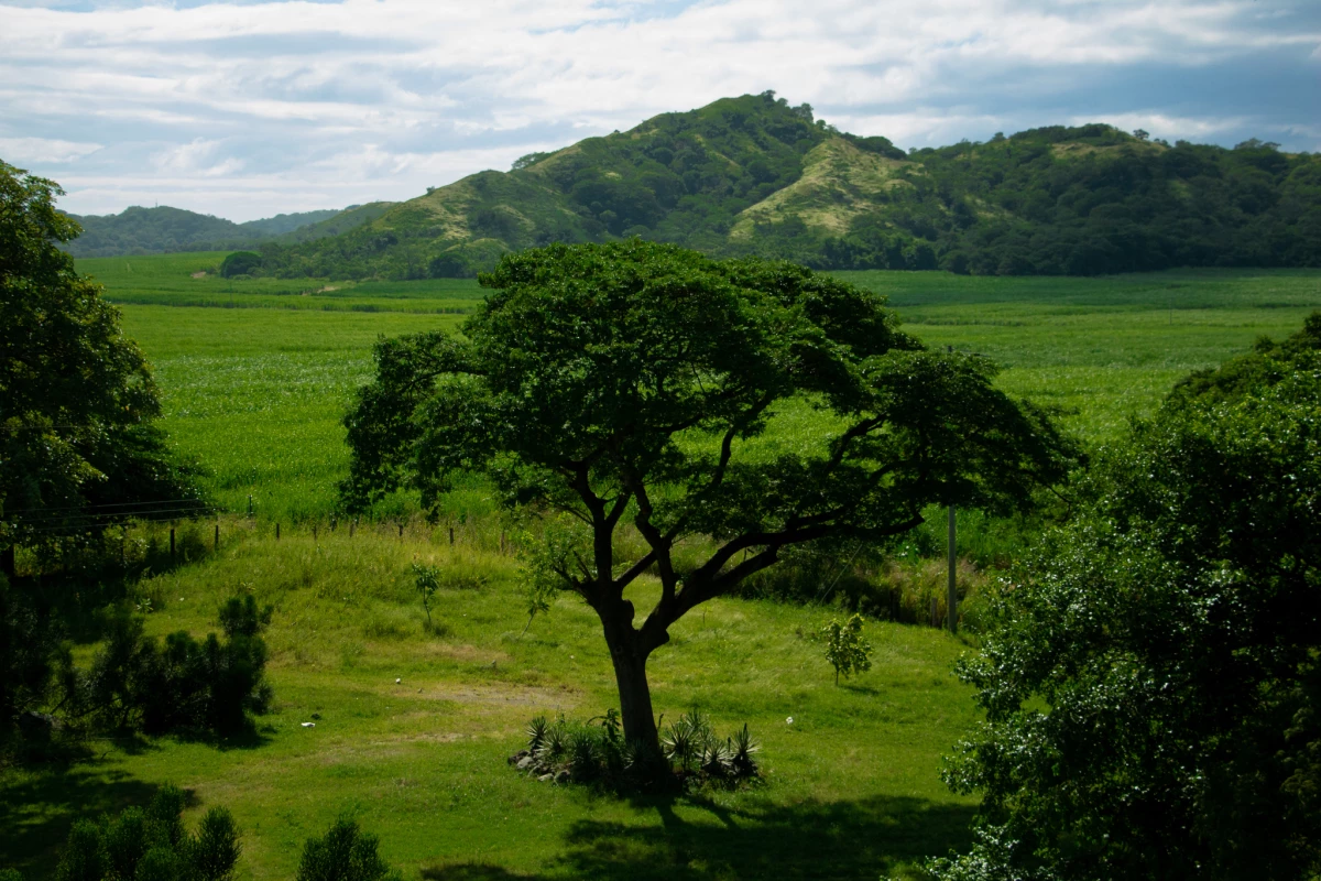 David Machado | The Independent Photographer