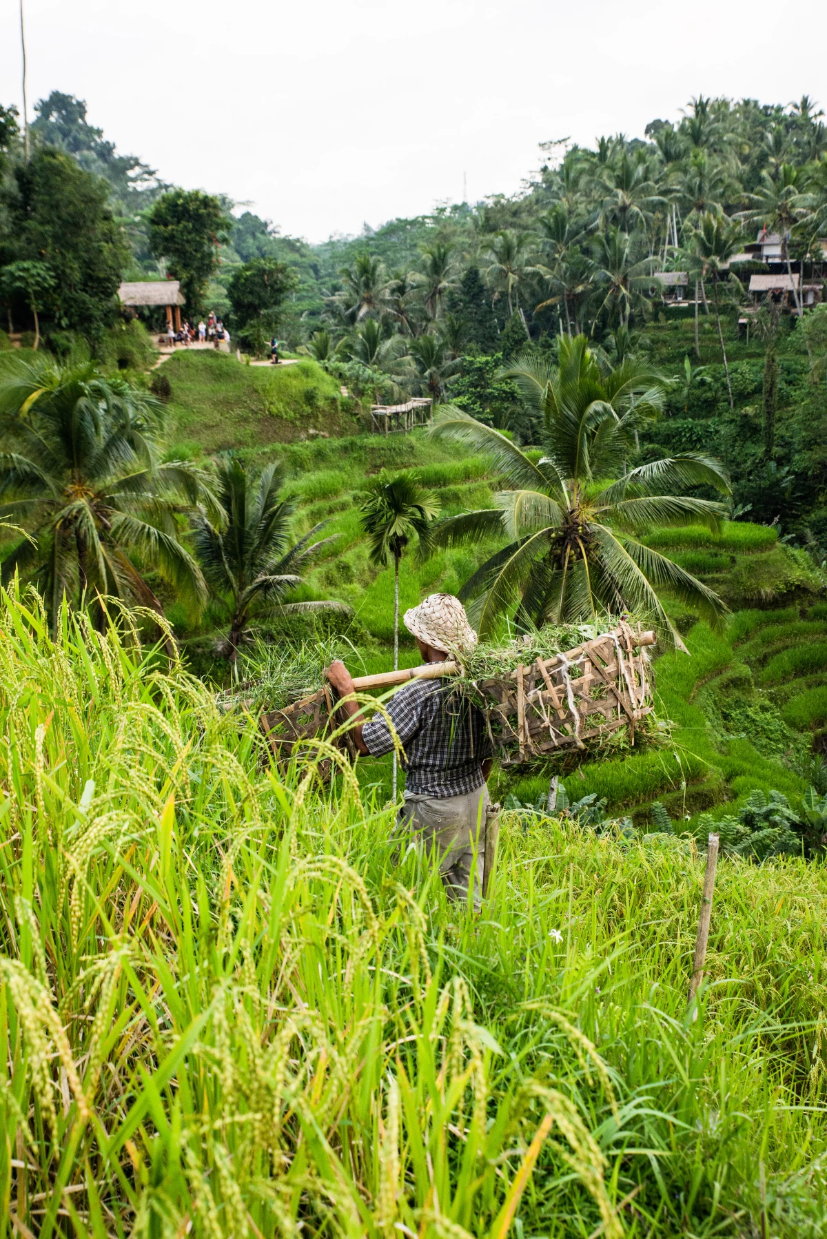 Miguel Neves | The Independent Photographer