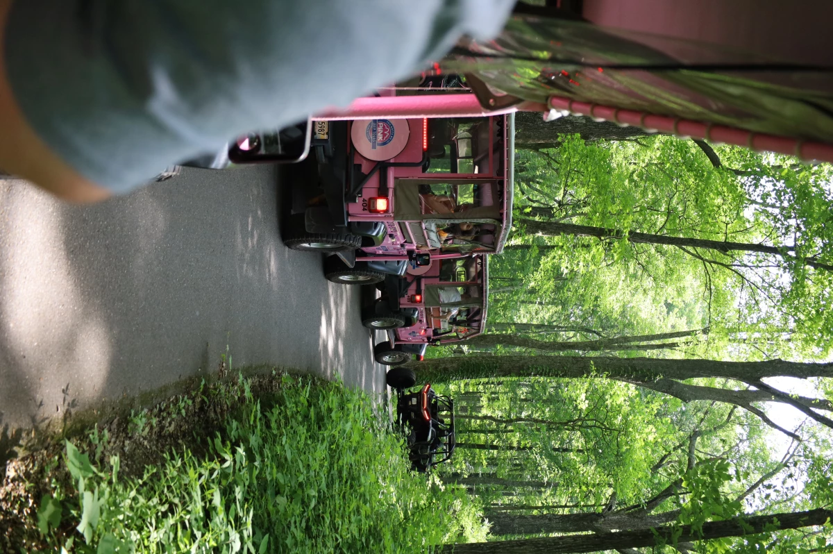 Mya Frank | The Independent Photographer