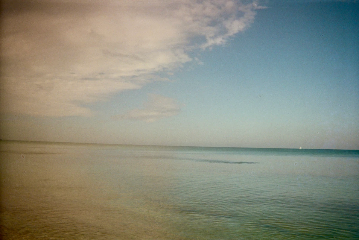 Lili Jackson | The Independent Photographer