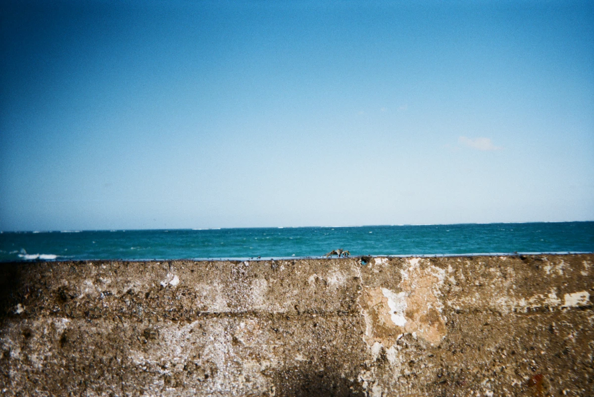 Lili Jackson | The Independent Photographer