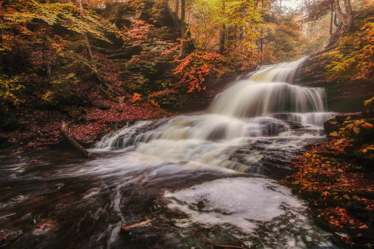 Kamala Raghavan | The Independent Photographer