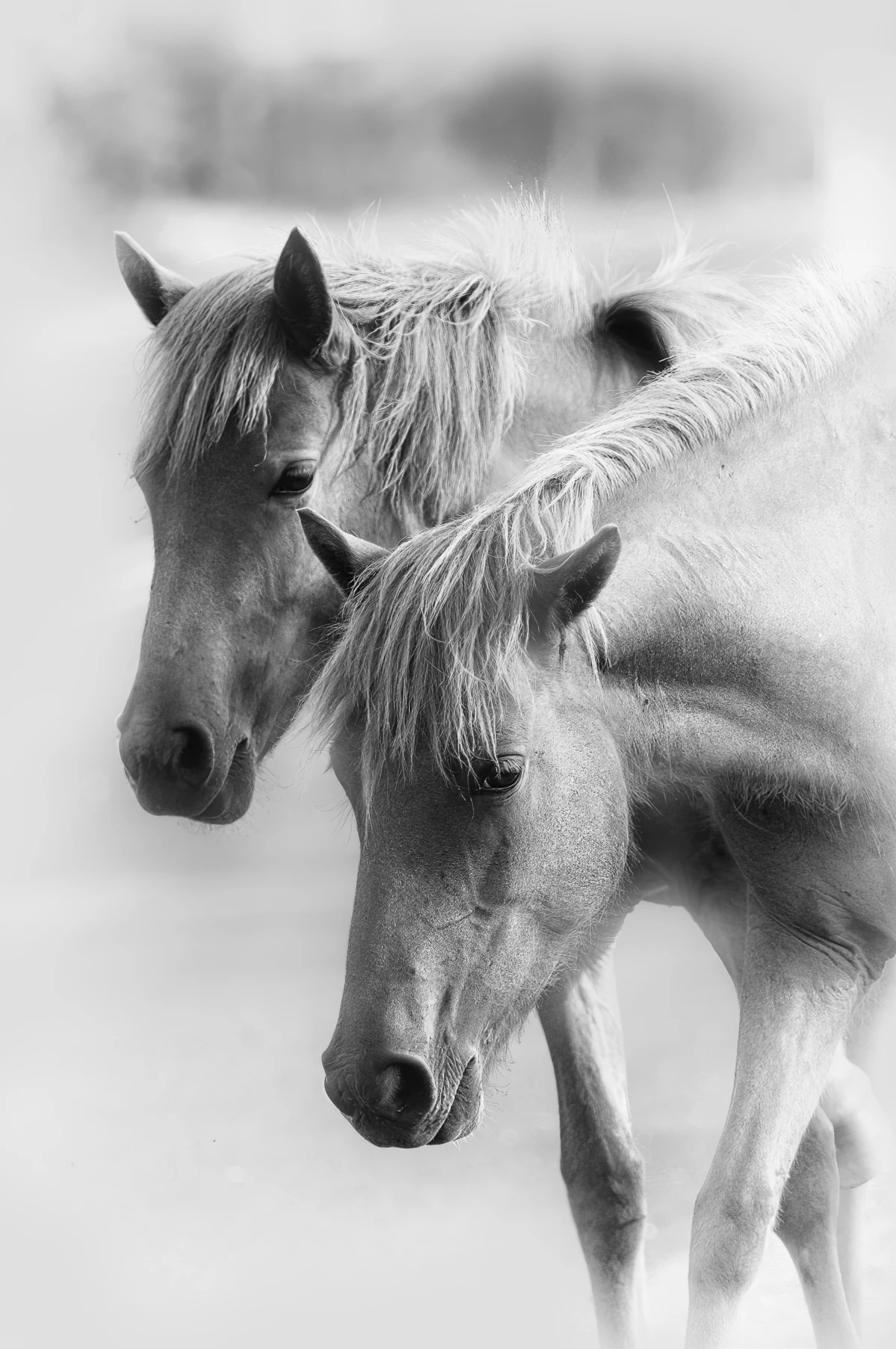 Kamala Raghavan | The Independent Photographer