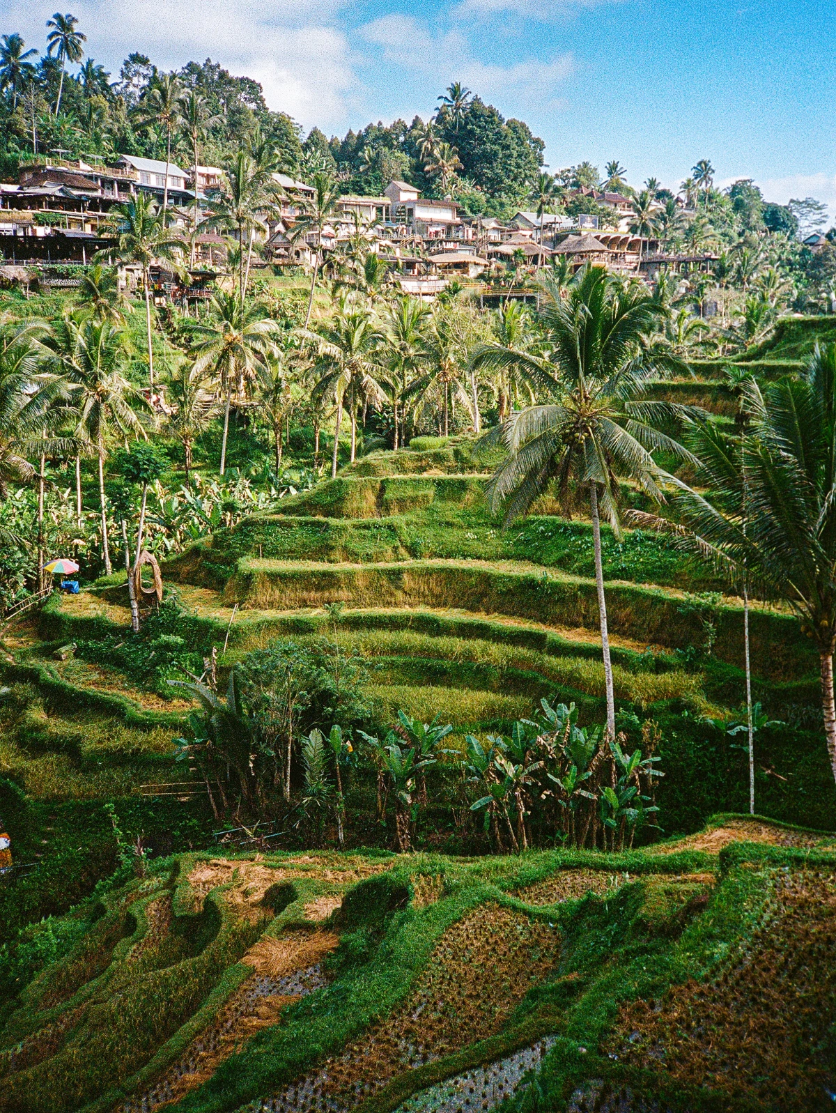 Jeremy Skirrow | The Independent Photographer