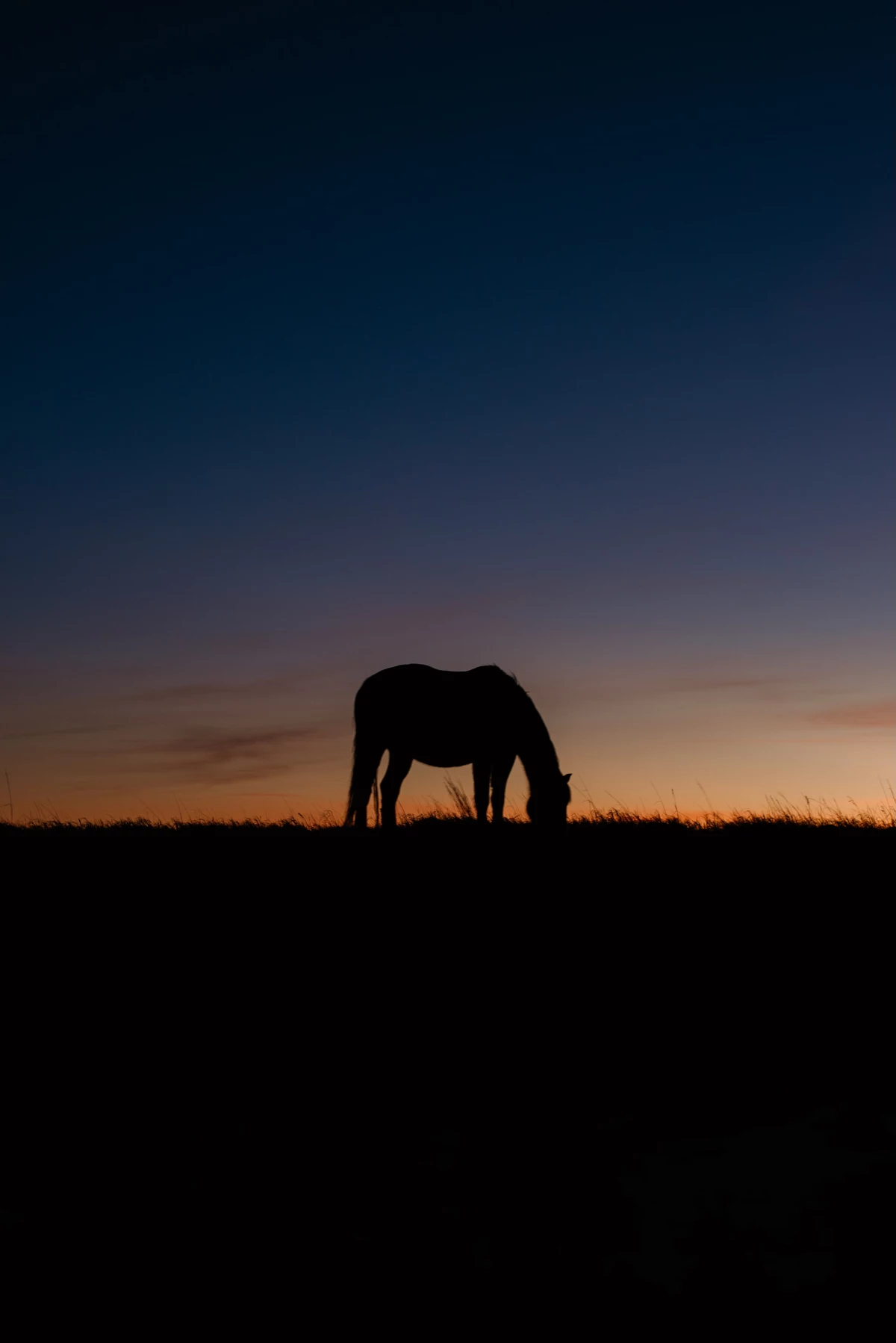 James Isaac Jones | The Independent Photographer