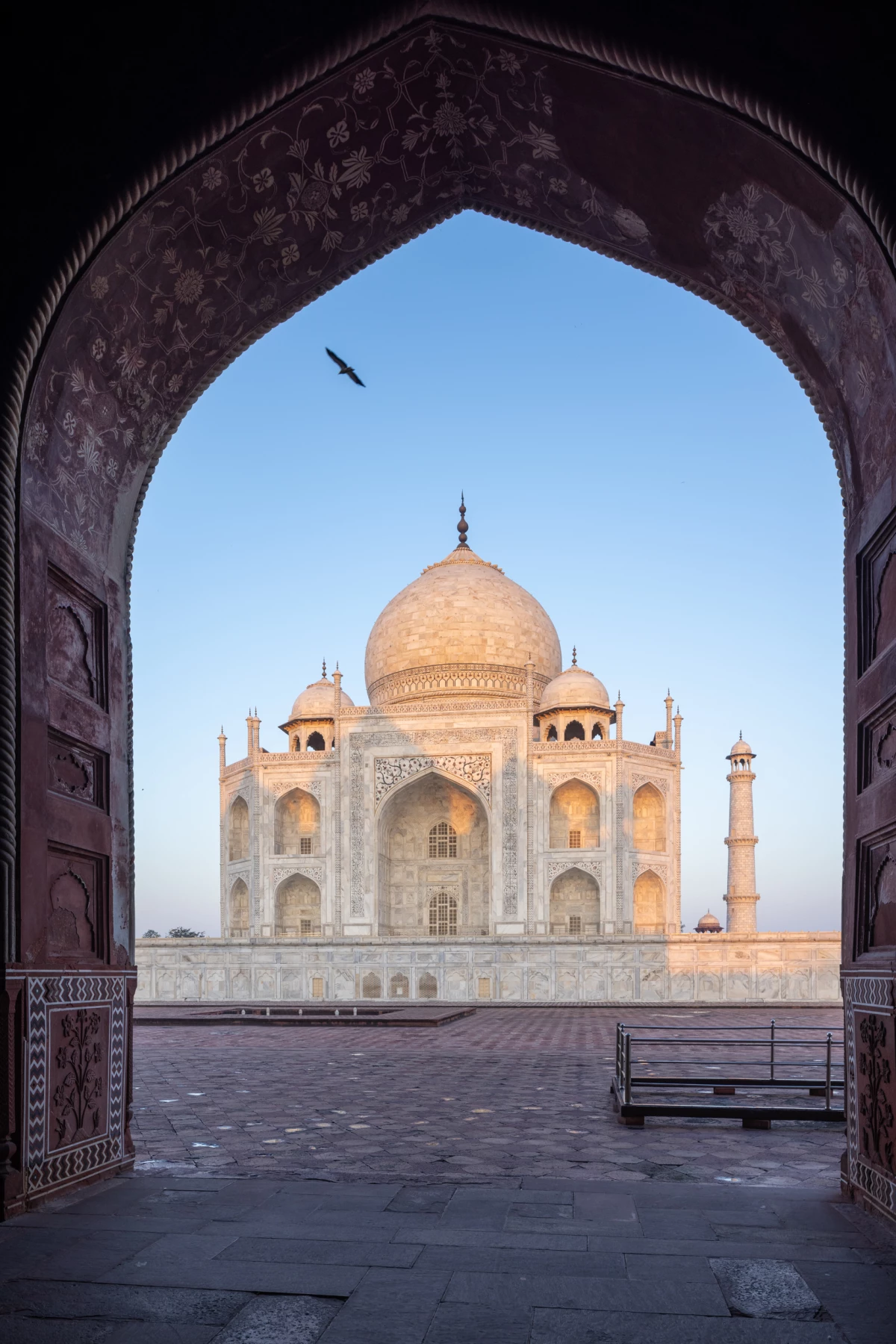 Julian Elliott | The Independent Photographer